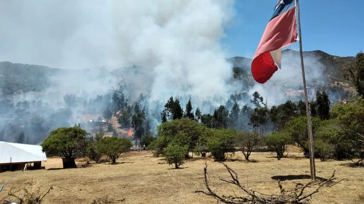 Asado Habría Derivado En Origen De Incendio Forestal En Pumanque
